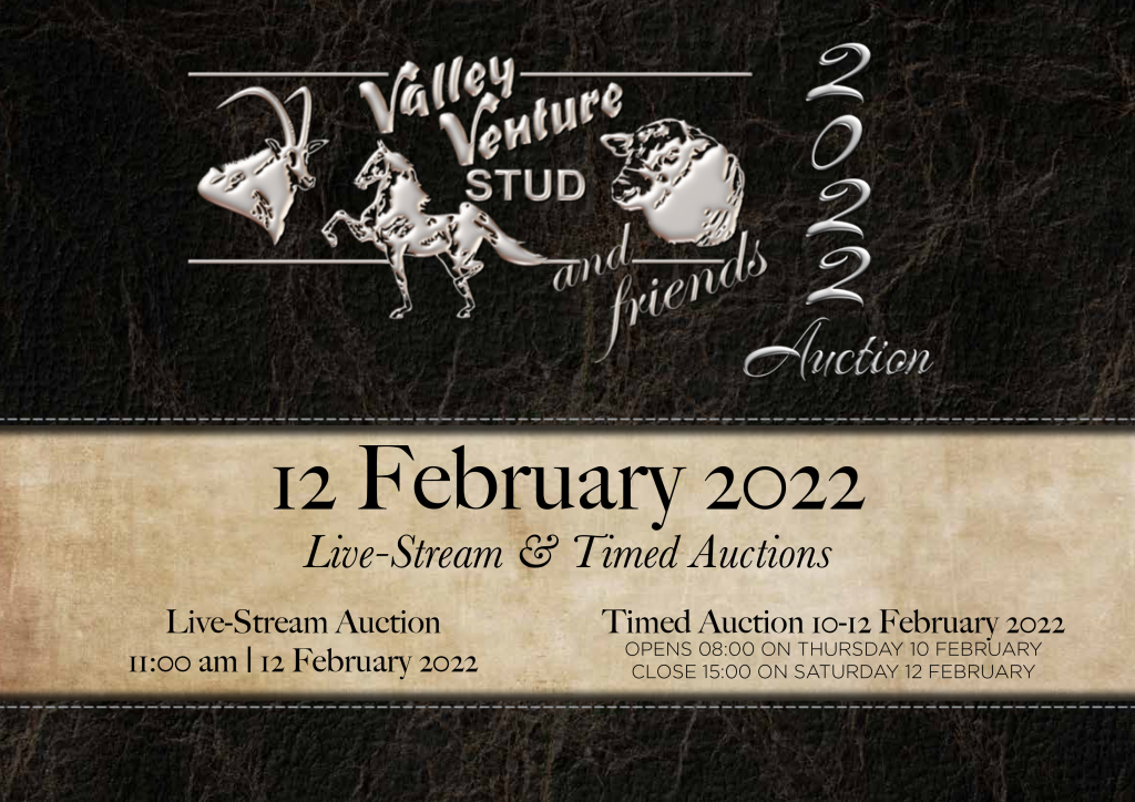 2022 Auction - Valley Venture Stud